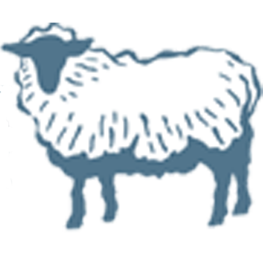Boots | Complete Sheep Shoppe